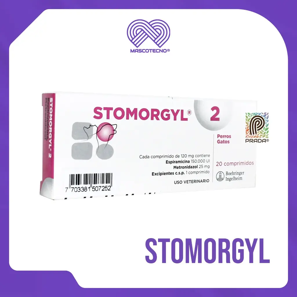 STOMORGYL 2 TAB X 20 UND | PRADA SABINC